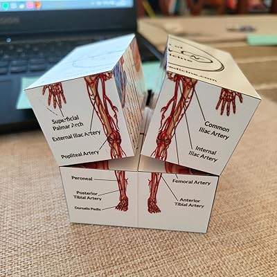 Kits of Medicine 9-Part Human Anatomy Cube: Perfect Guide for Medical ...