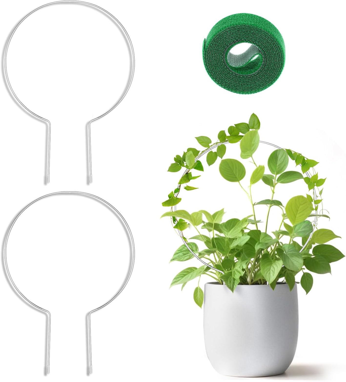 Amazon.com : ZEYIYER 2PCS Small Trellis for Potted Plants, Circle ...