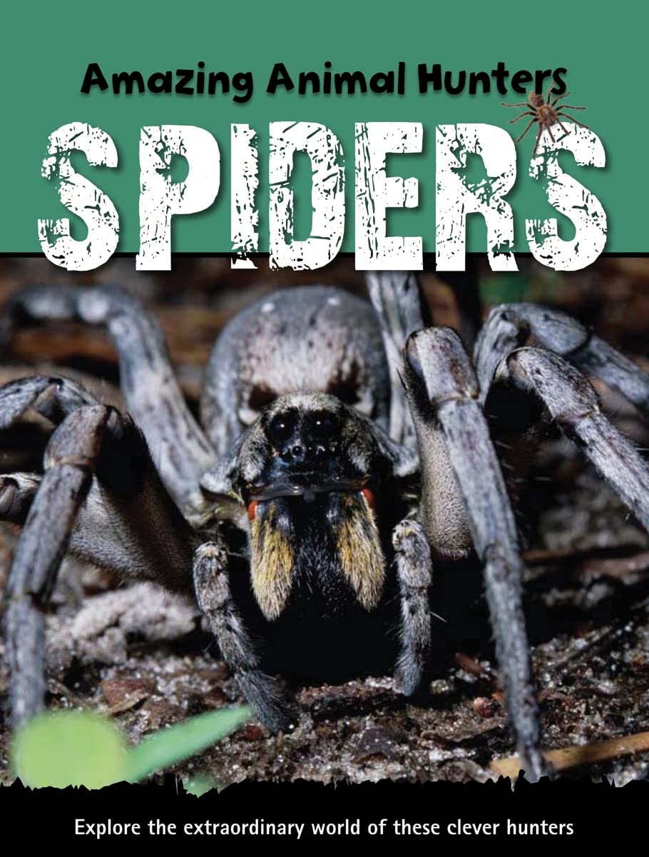 Spiders (Amazing Animal Hunters): Morgan, Sally: 9781607530480: Amazon ...