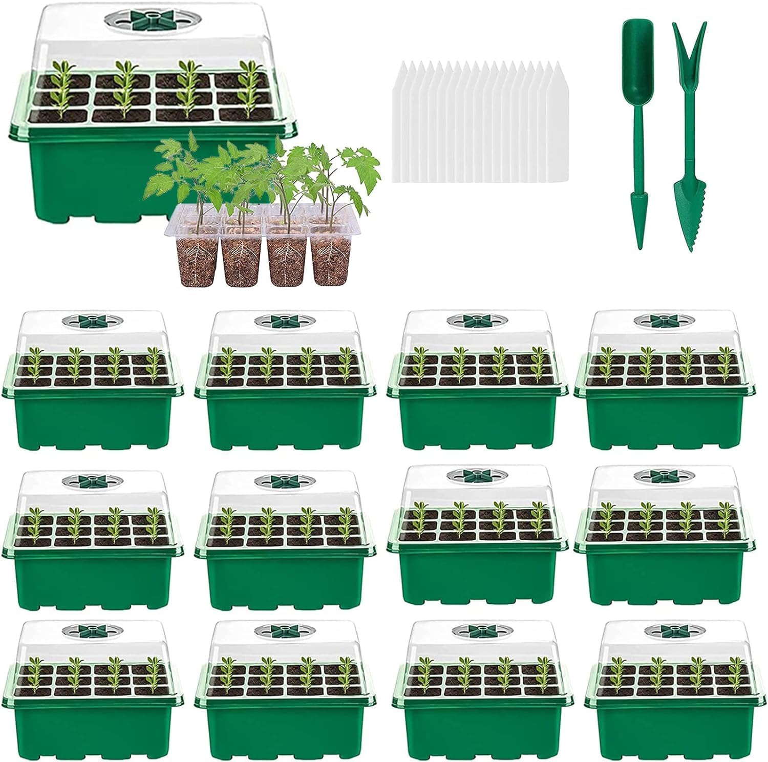 Seed Starter Tray, 12 Pack Plant Germination Trays Grow Seed Starter ...