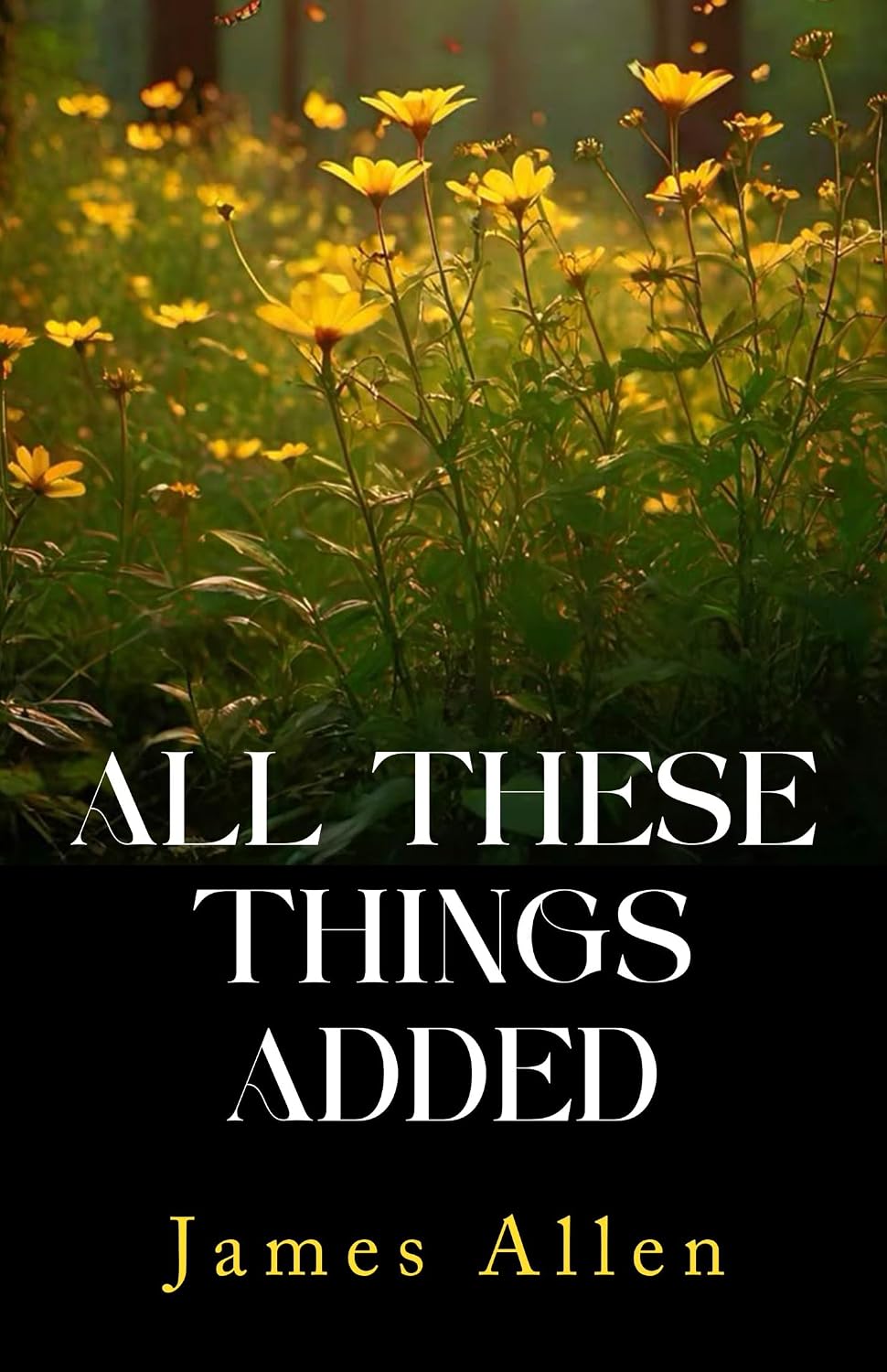 All These Things Added - Kindle edition by James Allen. Literature ...