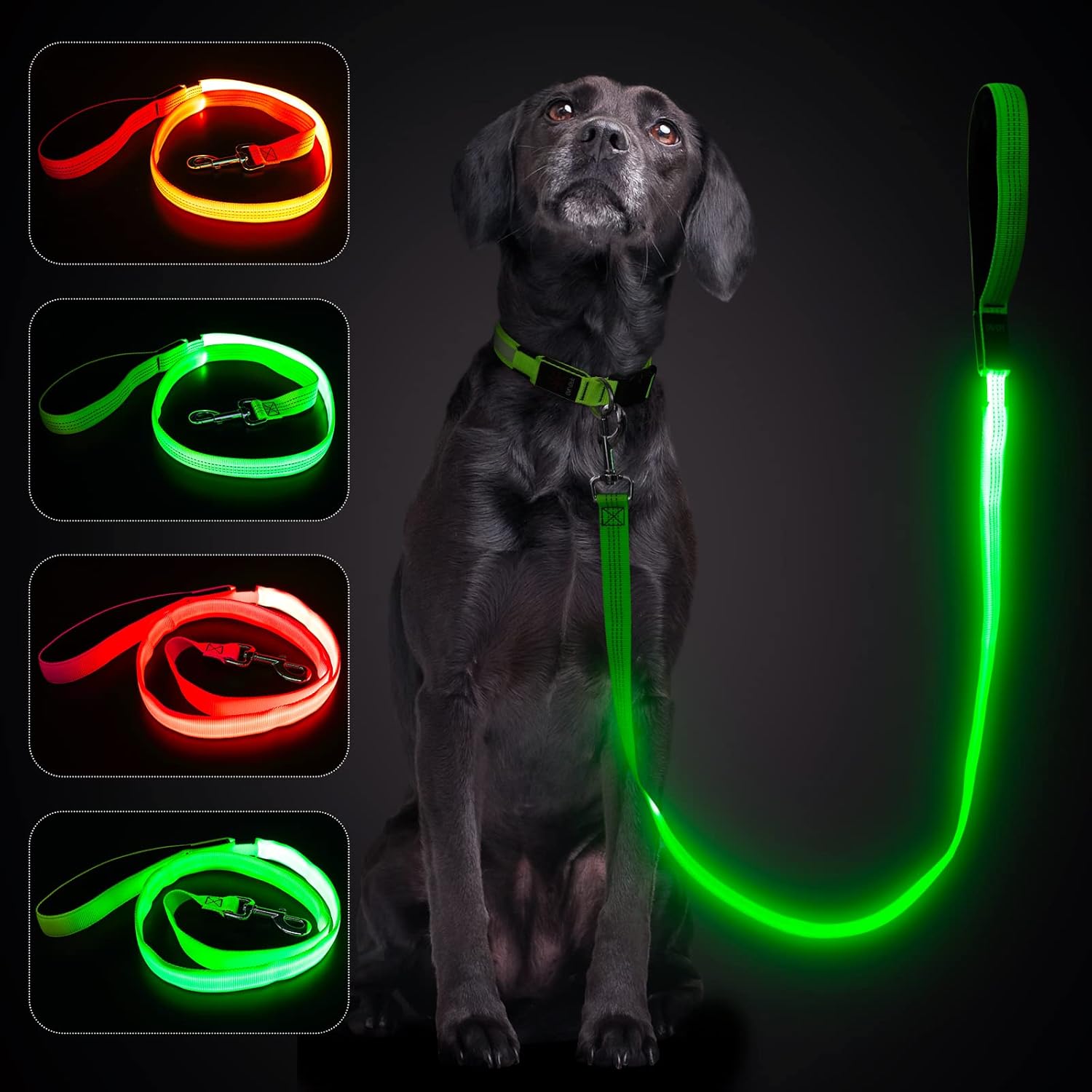 Amazon.com : Kpuplol LED Light Up Dog Leash 3 Lighting Modes USB ...