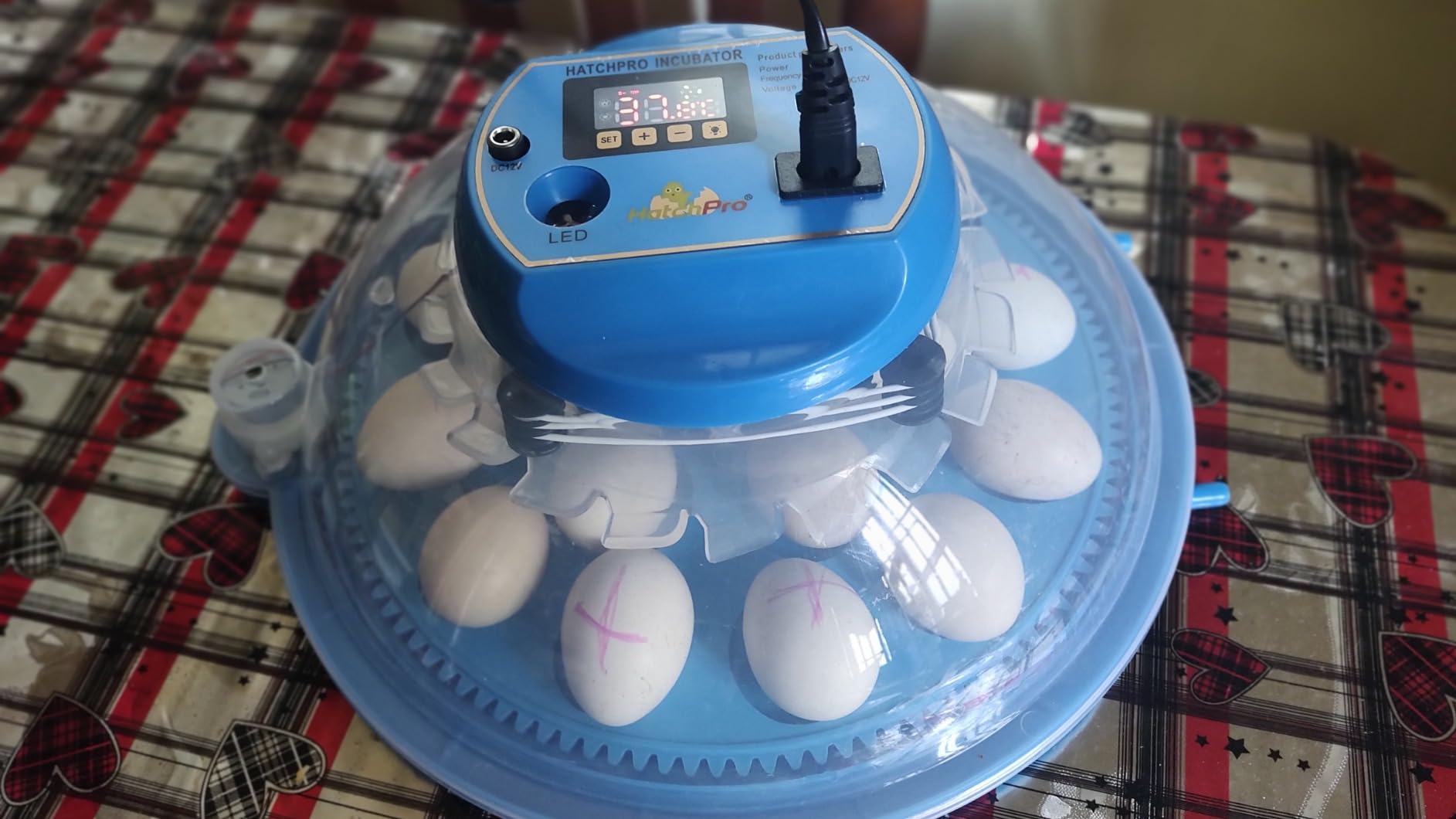 Hatchpro 18 Eggs Fully Automatic Egg Incubator for Egg Hatching (Blue ...