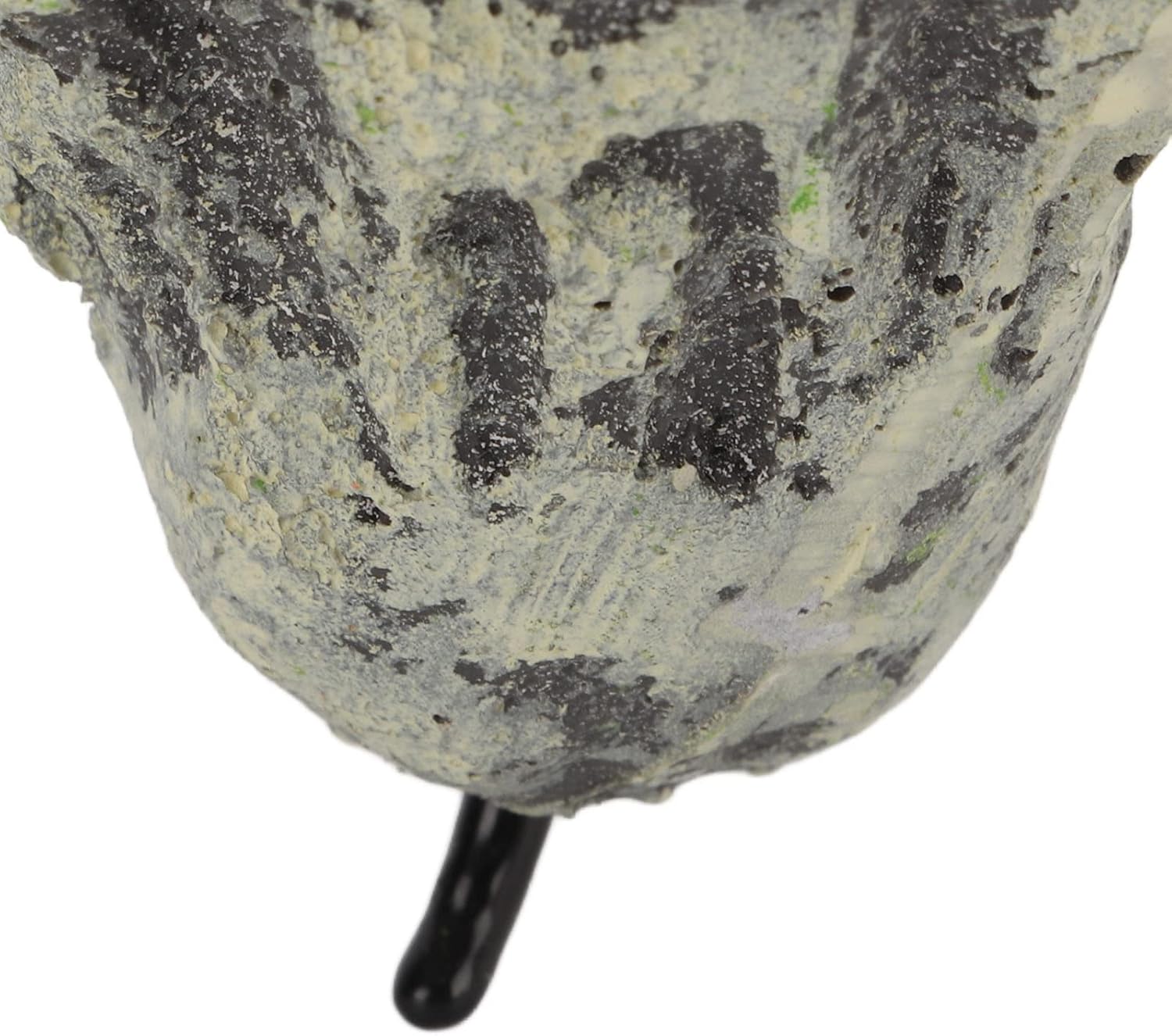 Glomora Piedra flotante del musgo para los tanques de peces, roca ...