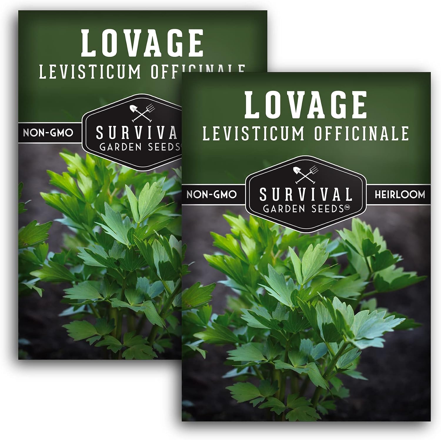 Amazon.com : Survival Garden Seeds - Lovage Seed for Planting - 2 Packs ...
