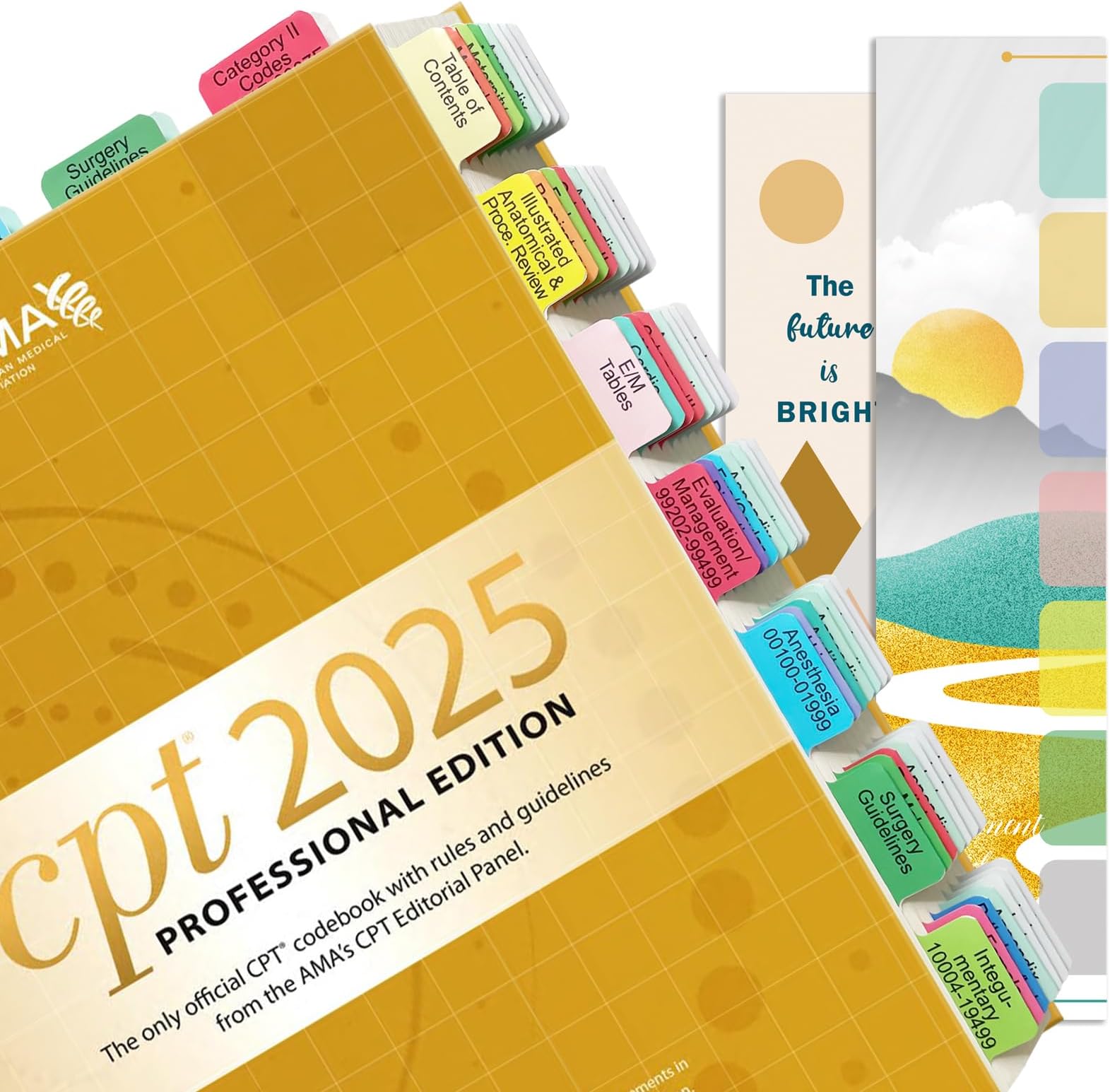 Amazon.com : Upgraded Index Tabs for CPT 2025 Professional Edition (AMA ...