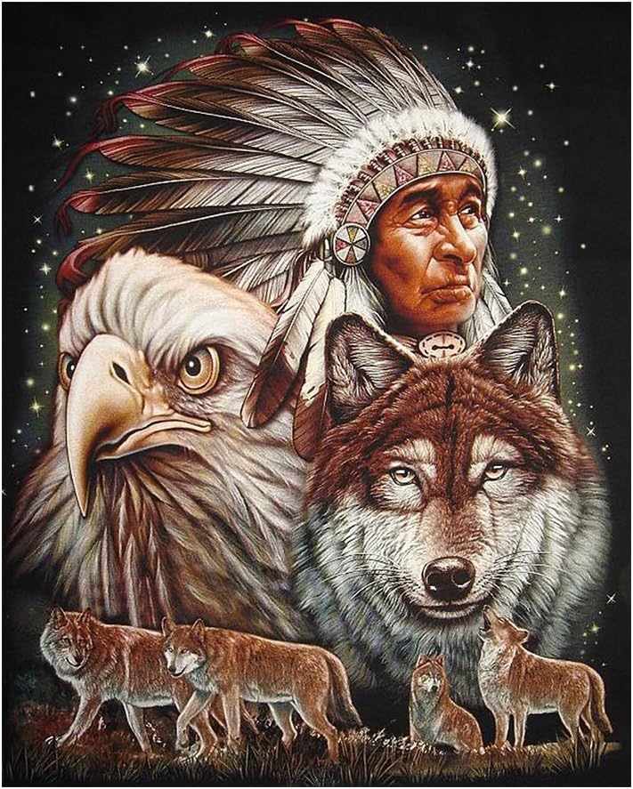Amazon.com: DIY Diamond Painting Indian with Wolves Cool Animals HD ...