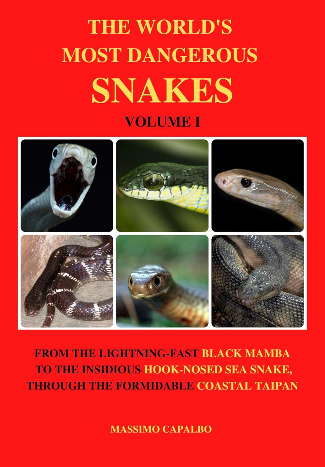 Amazon.com: The World's Most Dangerous Snakes - Volume I: From the fast ...