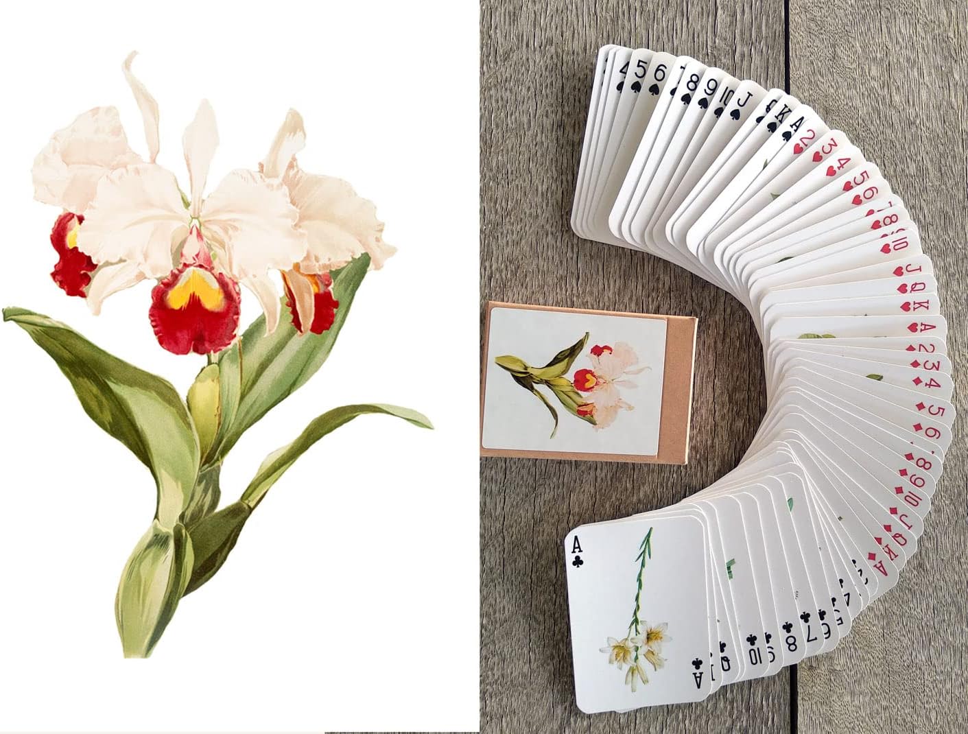 Amazon.com: FLONZGIFT Beautiful Flowers Playing Cards (Poker Deck 54 ...