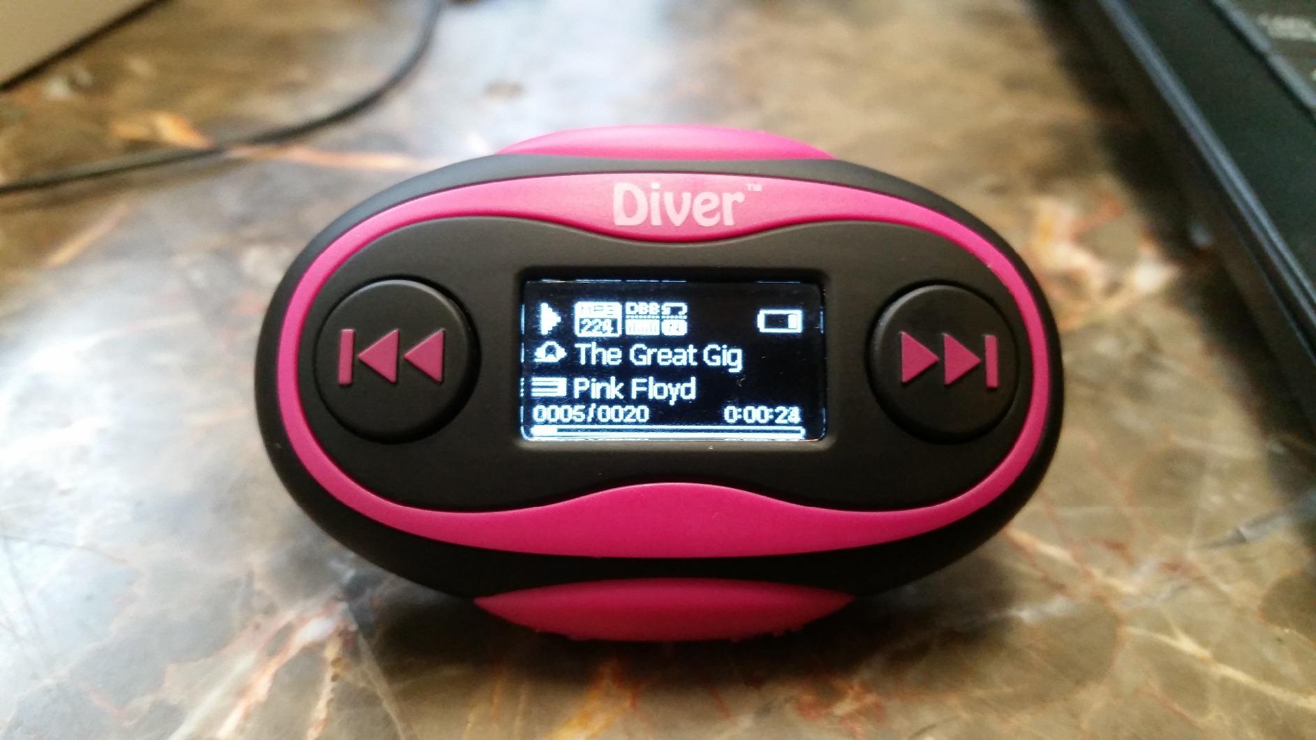 Amazon.com: Diver 4GB Waterproof MP3 Player with LCD Display and ...