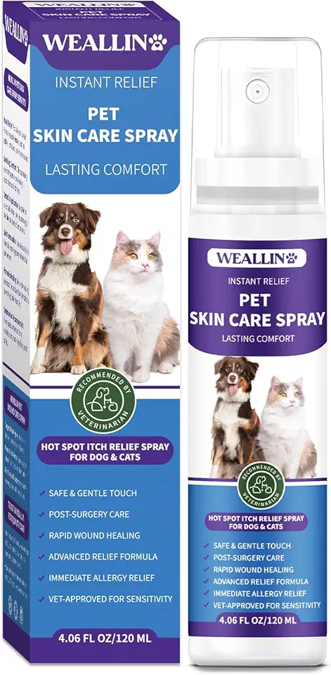 Shingles In Dogs: What You Need To Know | PetShun