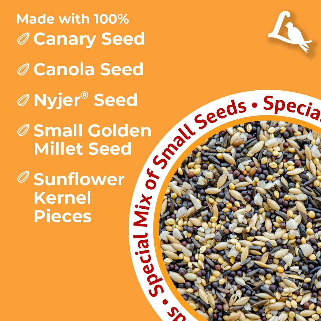 Snapklik.com : Lyric Finch - Small Songbird Wild Bird Seed For Outside ...