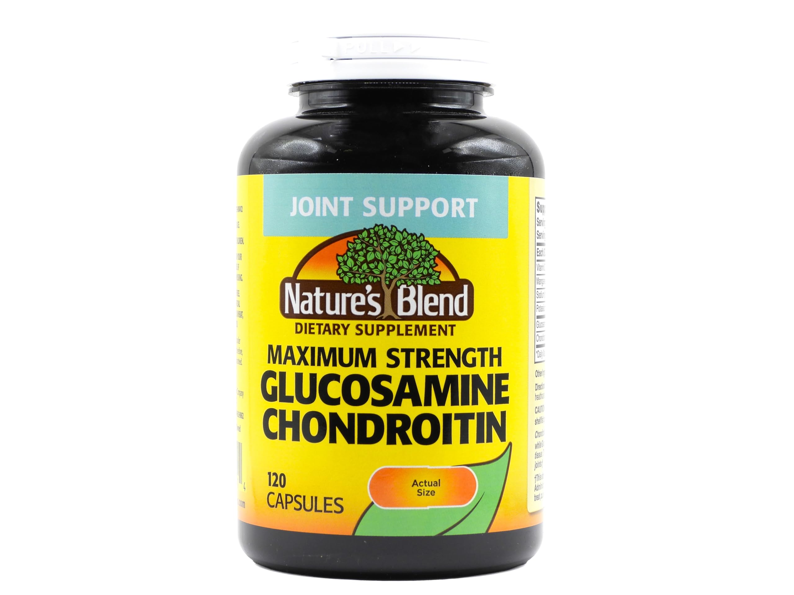 Amazon.com: Glucosamine Chondroitin Maximum Strength 120 Capsules by ...