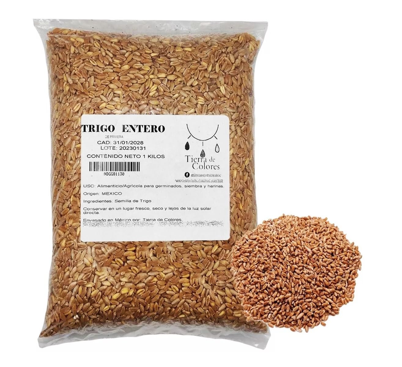 Trigo entero durum alimenticio para harinas, pan, germinados, pasto de ...