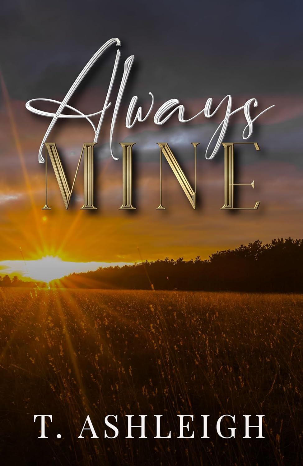 Always Mine - Kindle edition by Ashleigh, t. . Romance Kindle eBooks ...