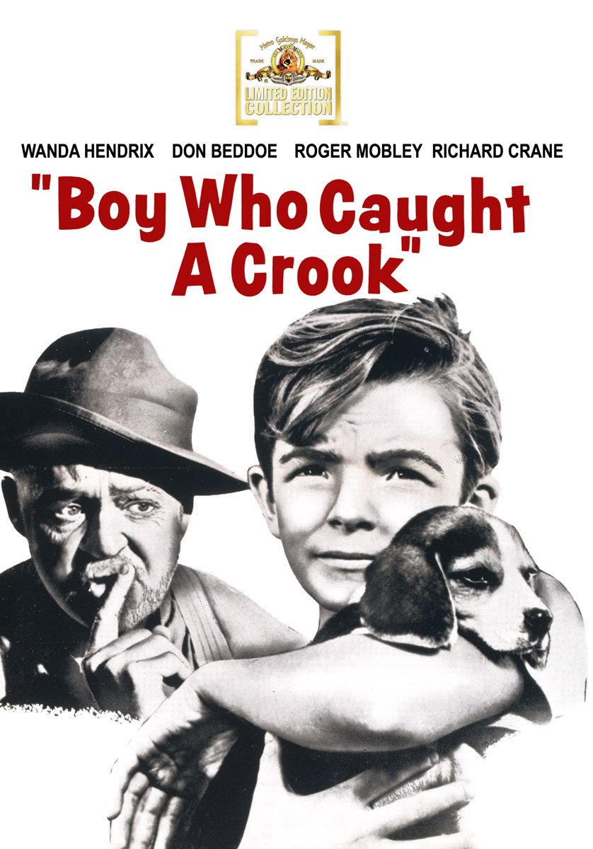 Amazon.com: Boy Who Caught A Crook : Wanda Hendrix, Robert Mobley, Don ...