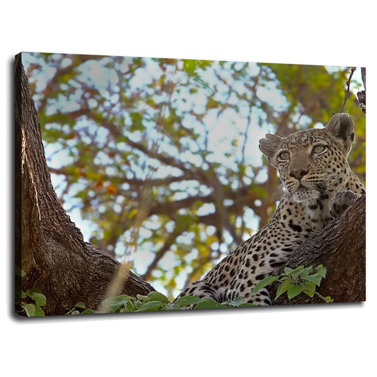 Leopards In Trees With Prey