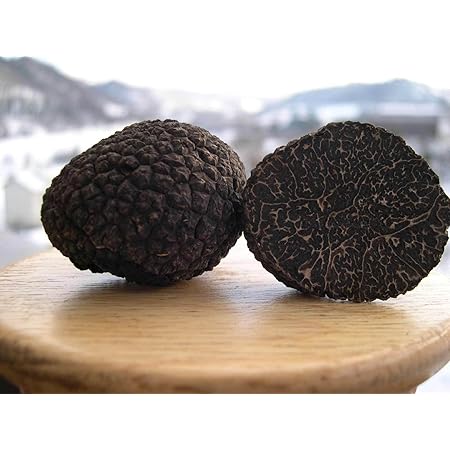 Amazon.com : Spores Black Truffle Mushrooms Mycelium Spawn Dried Seeds ...