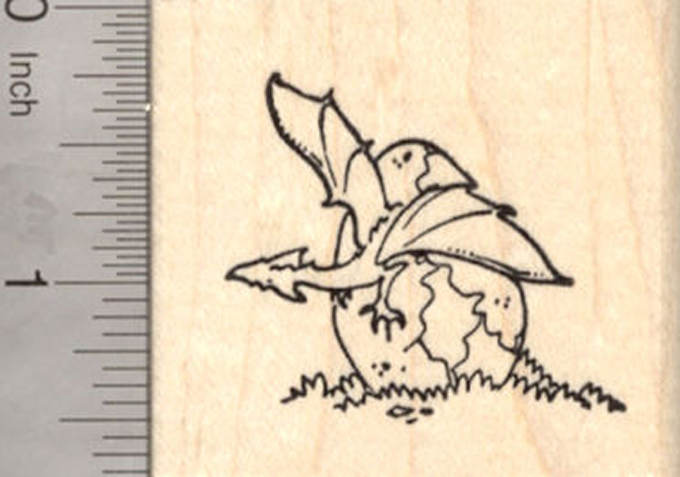 Baby Dragon Hatching From Egg Drawing