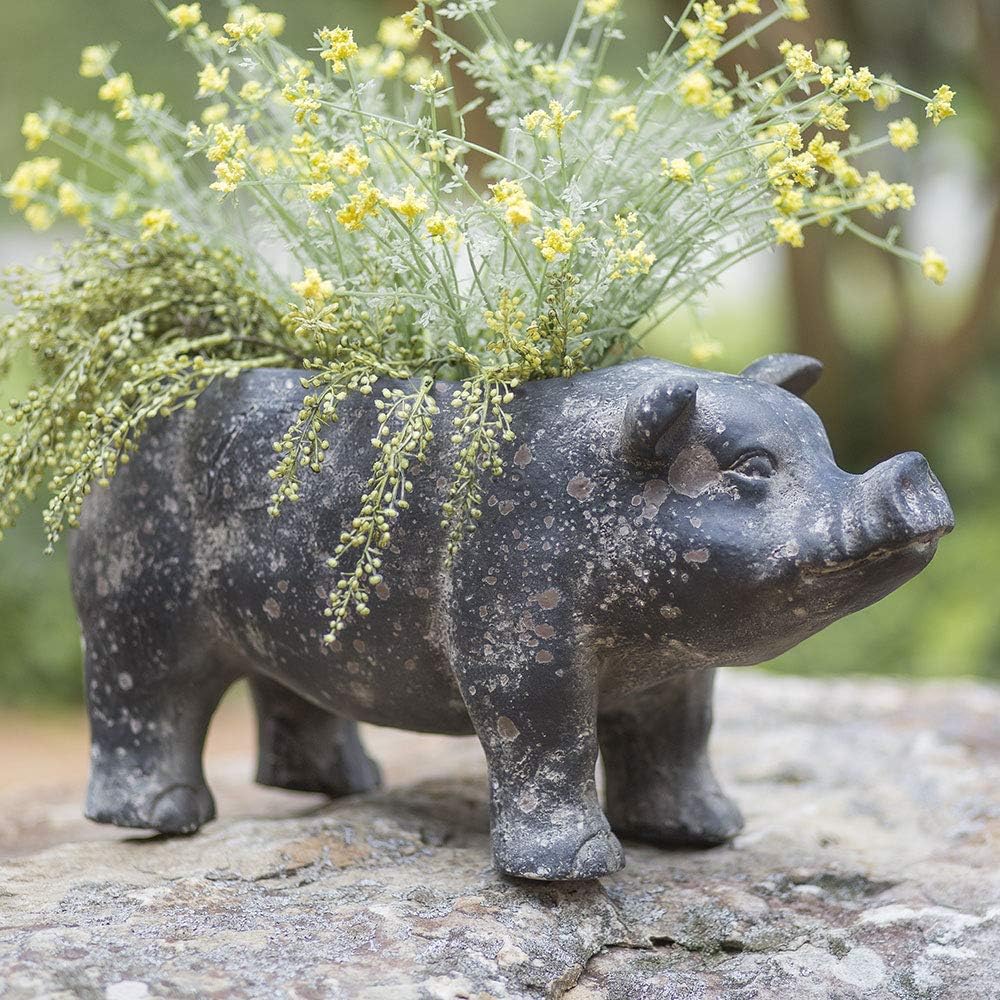 Amazon.com : CTW Home Collection Large Hen Planter : Patio, Lawn & Garden