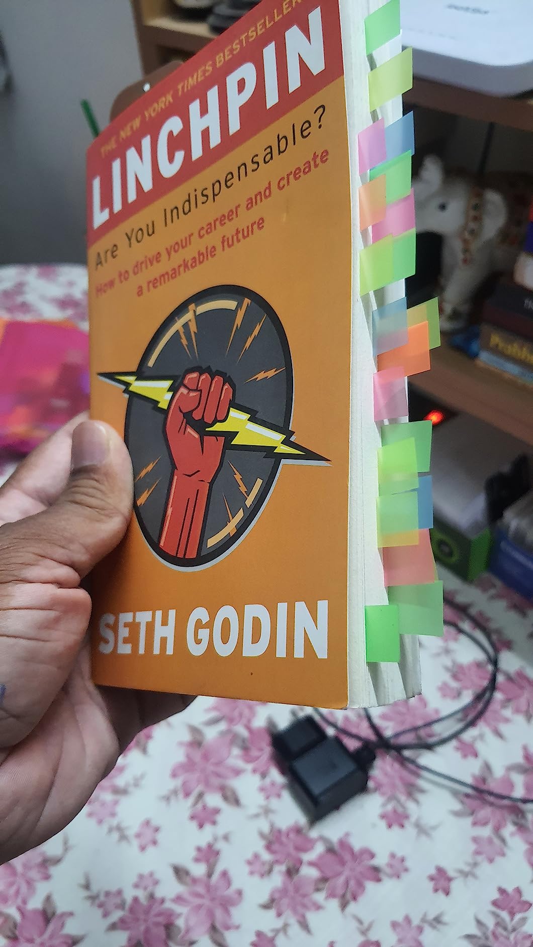 Linchpin: Are You Indispensable? How to drive your career and create a ...