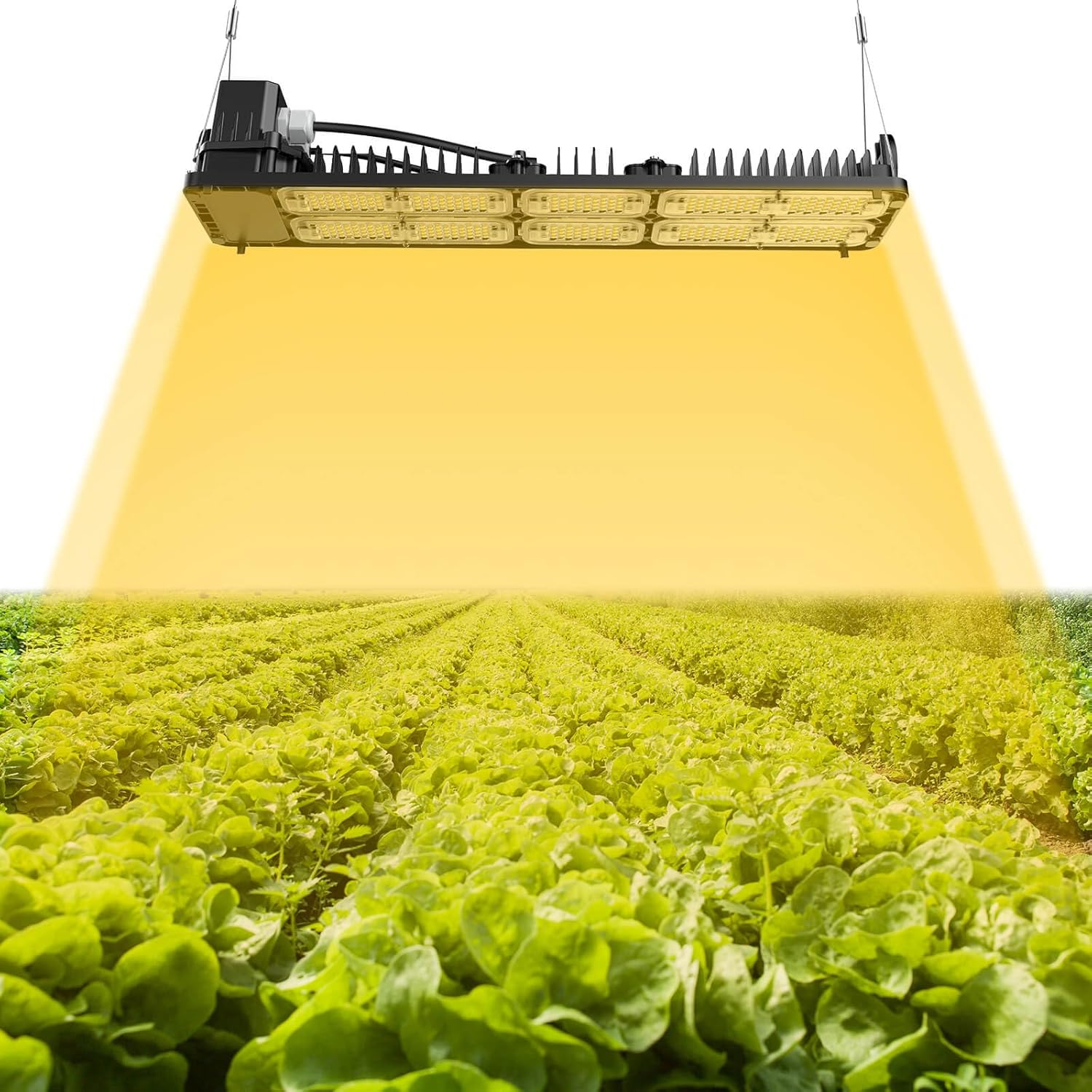 Amazon.com: SANSI 200W LED Grow Light, Full Spectrum Plant Light with ...