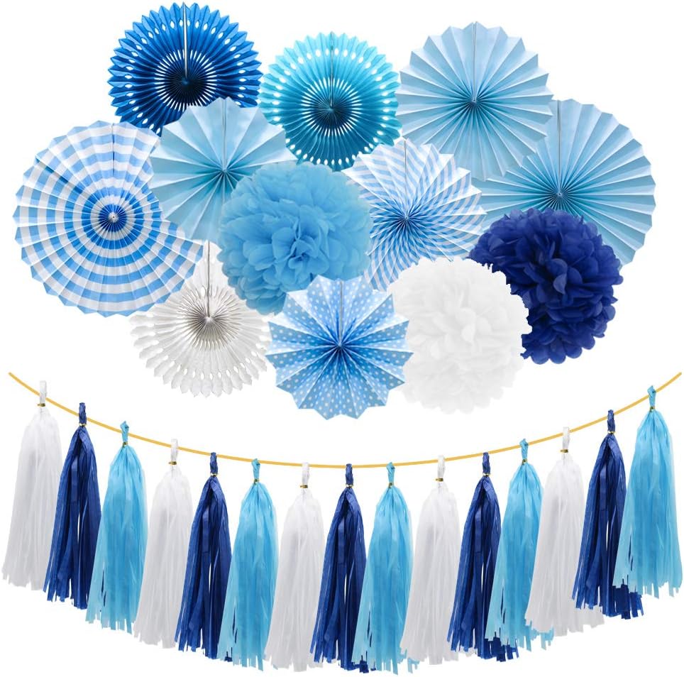 Amazon.com: Meiduo Blue Party Decorations Hanging Paper Fans Pom Poms ...