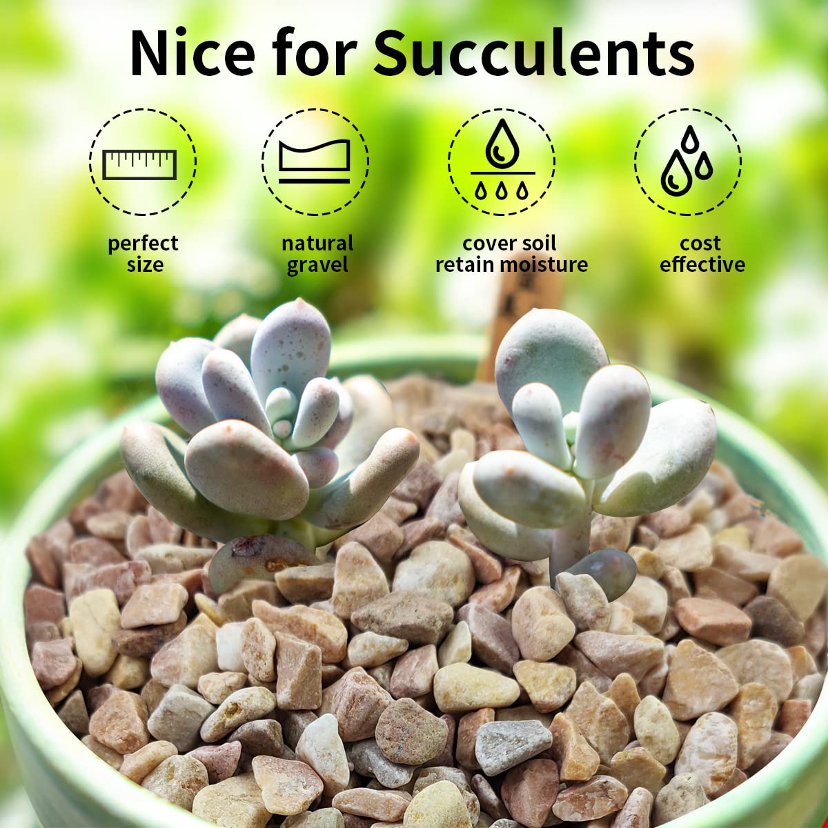 Snapklik.com : FANTIAN 5lbs Natural Pea Gravel Pebbles, 3/8 Inch ...