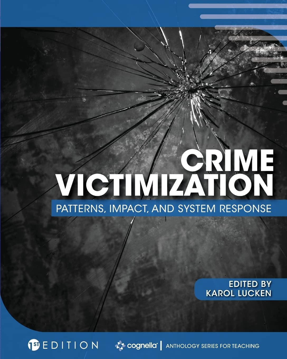 Amazon.com: Crime Victimization: Patterns, Impact, and System Response ...