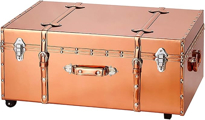 Amazon.com: DormCo Texture® Brand Trunk - Copper Ore : Home & Kitchen