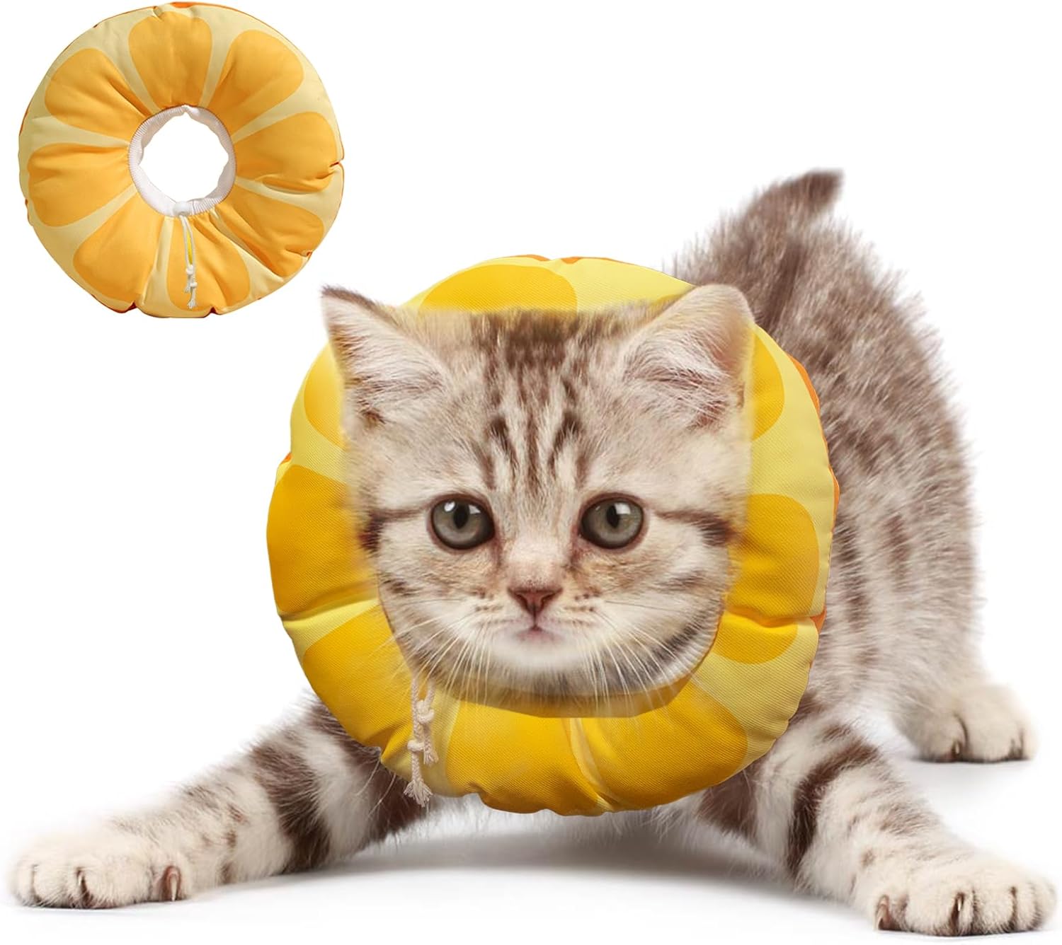 Amazon.com : YYanniwani Cat Recovery Soft Collar.Waterproof Soft ...