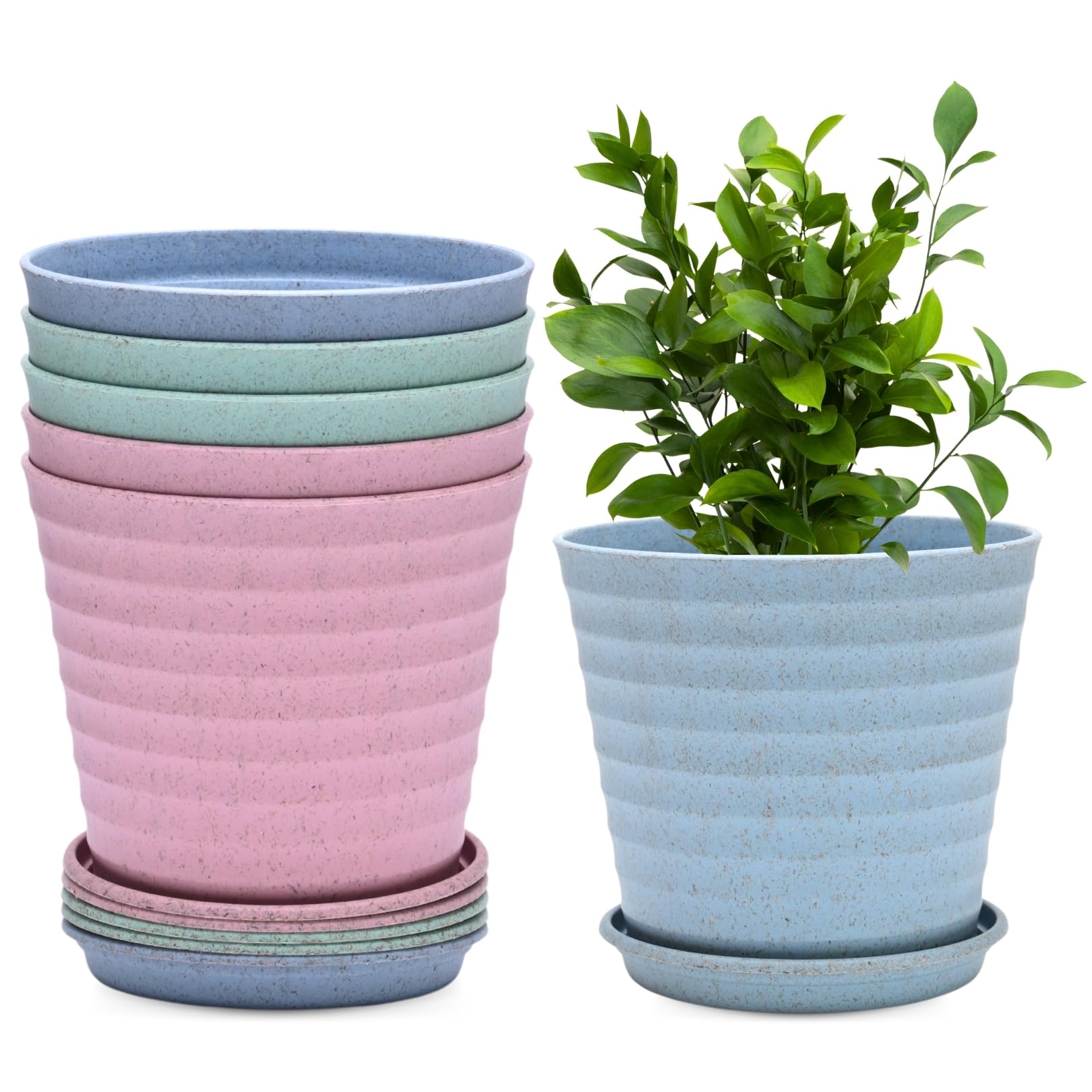 Eha Set of 6 Earth-Friendly Linea 7.5" Pots for Plants | Bamboo Based ...