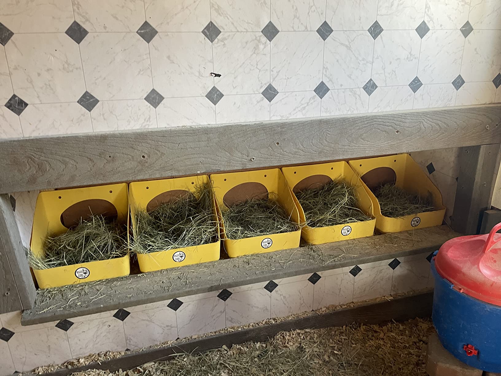 $13/mo - Finance 6 PACK RITE FARM PRODUCTS WASHABLE POLY EGG NESTING ...