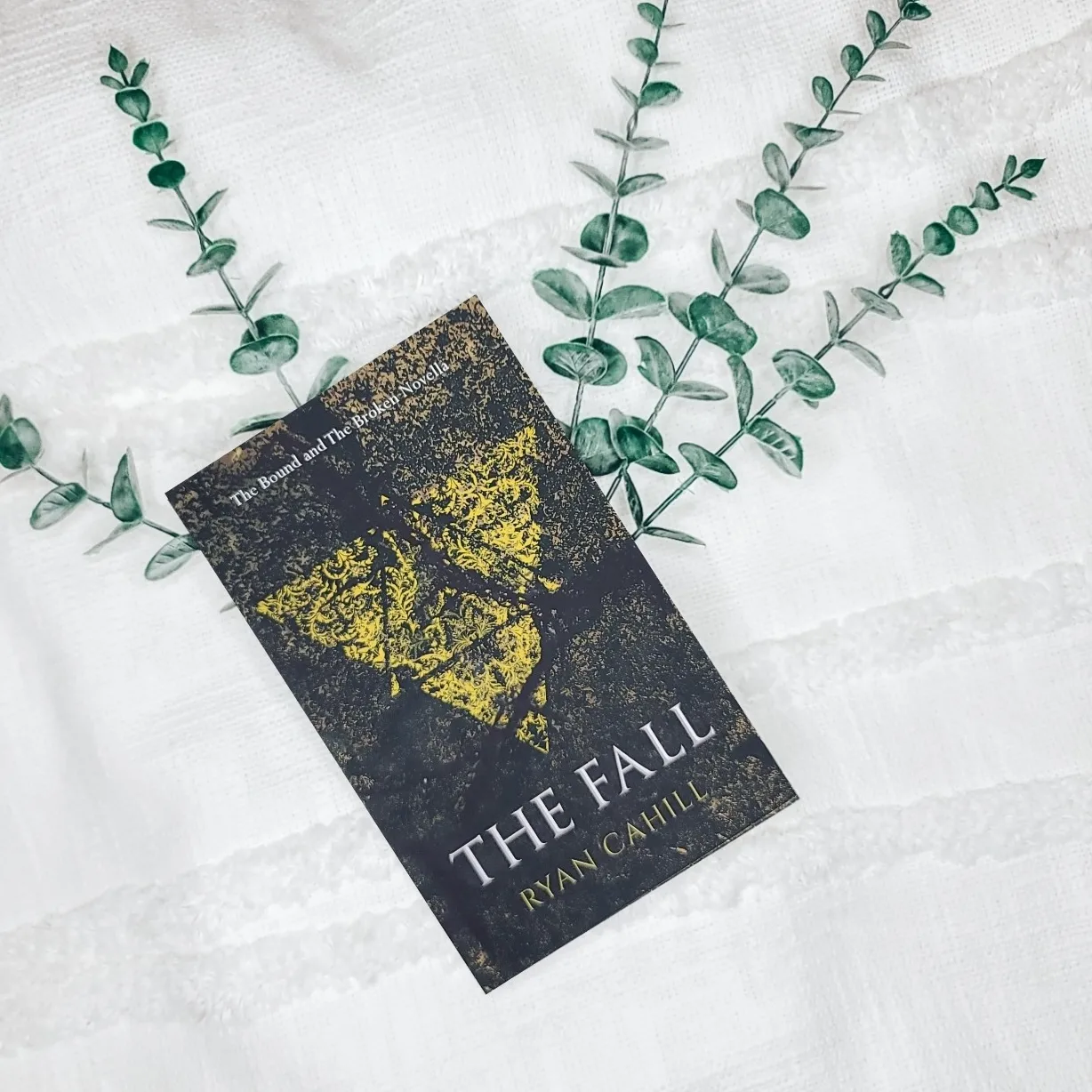 The Fall: An Epic Fantasy Adventure (The Bound and The Broken): Cahill ...