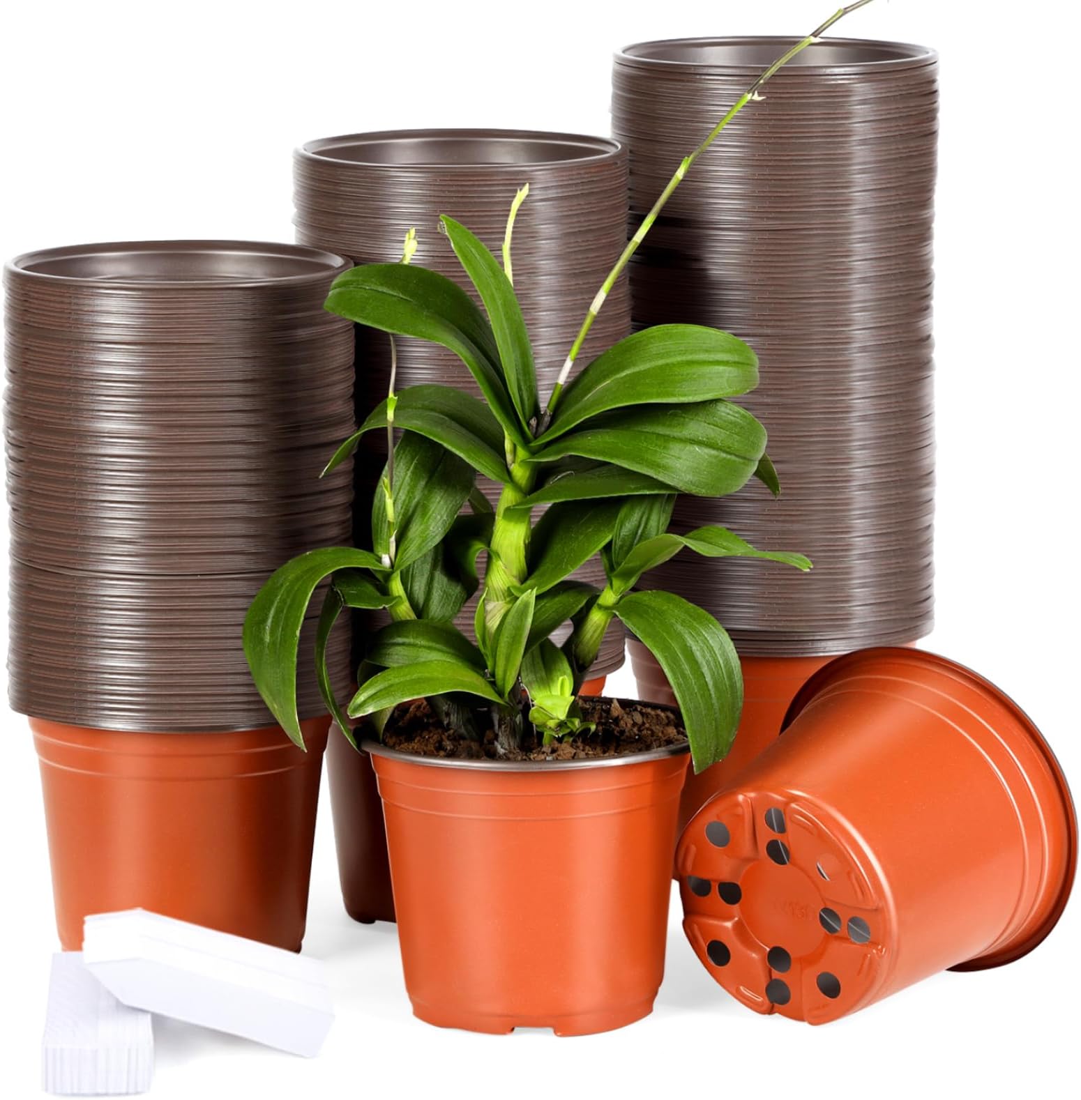 Amazon.com: 200 Pcs Plastic Plant Pots 3 4 5 6 Inch Plant Nursery Pots ...