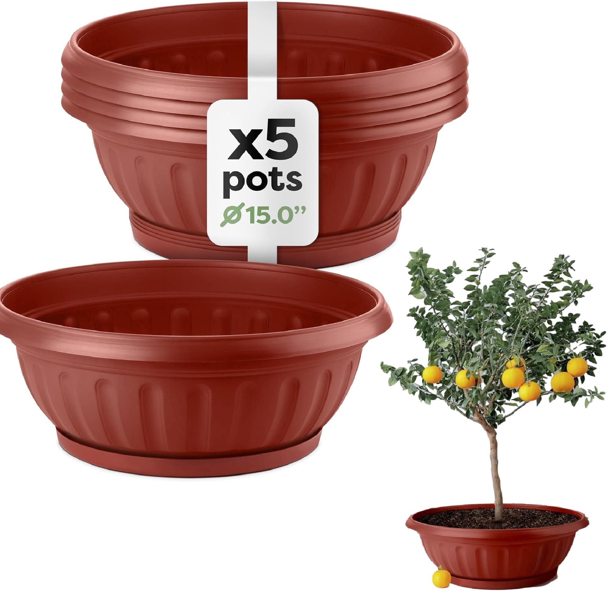 Amazon.com : Arcadia Garden Products PSW Pot TA25TP Collection Shallow ...