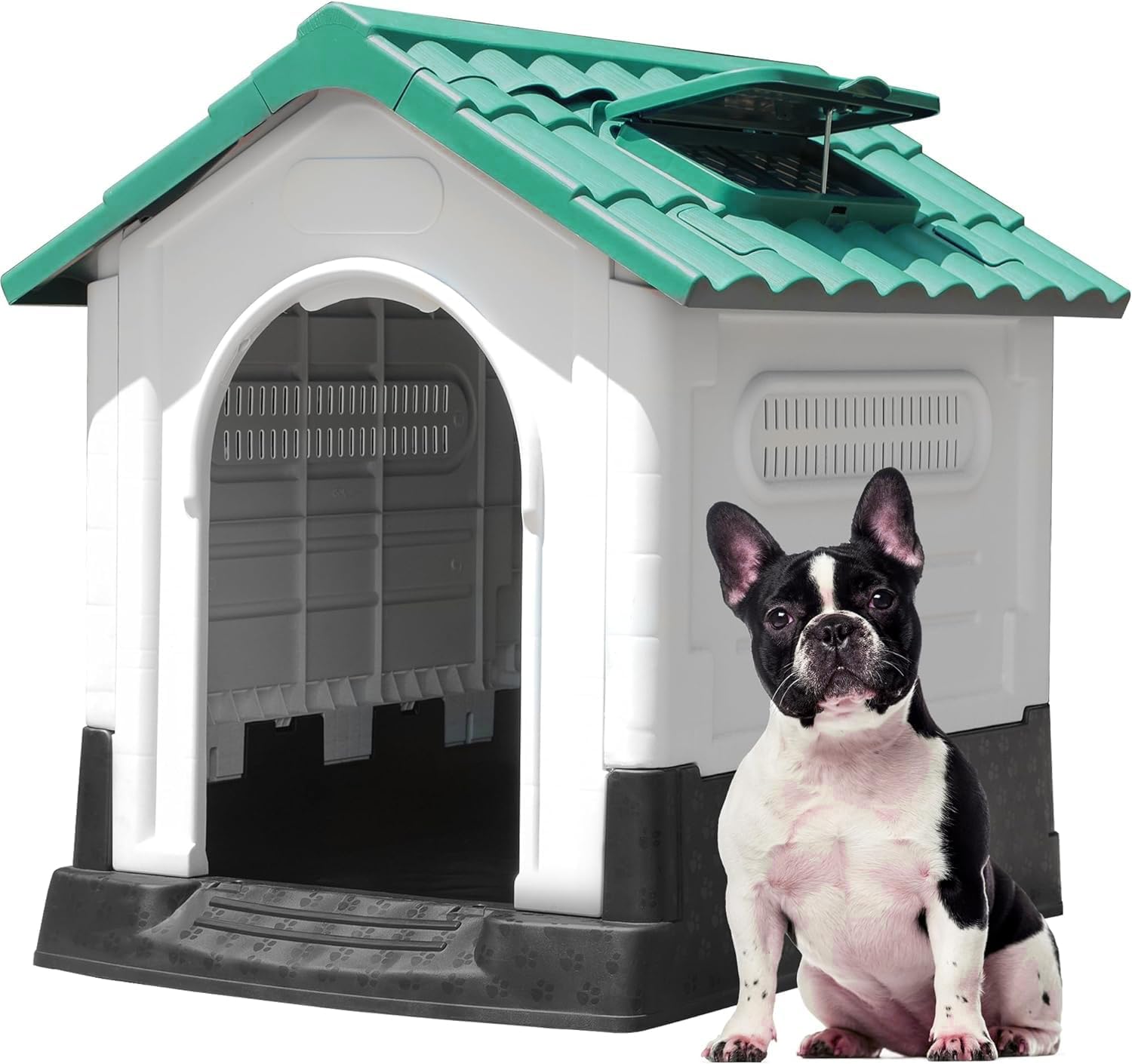 Amazon.com : Burn Buddy Rechargeable Dog Barking Deterrent Dog Bark ...