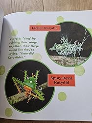 Amazon.com: ABC Bug Book for Kids: 9781638780663: Anderson, Jessica Lee ...