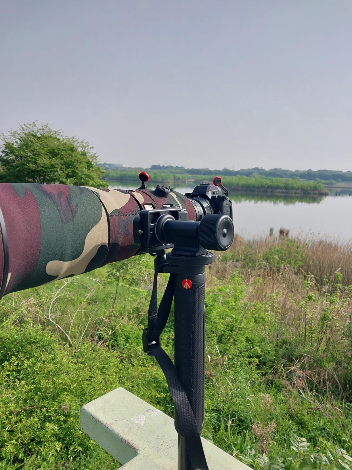 Amazon | 一脚ジンバルヘッド – サイドサドルスピードチルト Arca-Swiss Dovetailクイックリリースプレート付き ...