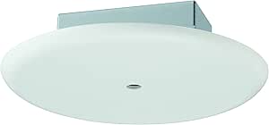 Amazon.com: TOA Electronics AN-9001 Ambient Noise Sensing Microphone ...