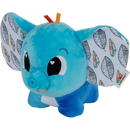 Amazon.com : LAMAZE - My First Fishbowl Toy, Capture Baby's Curiosity ...