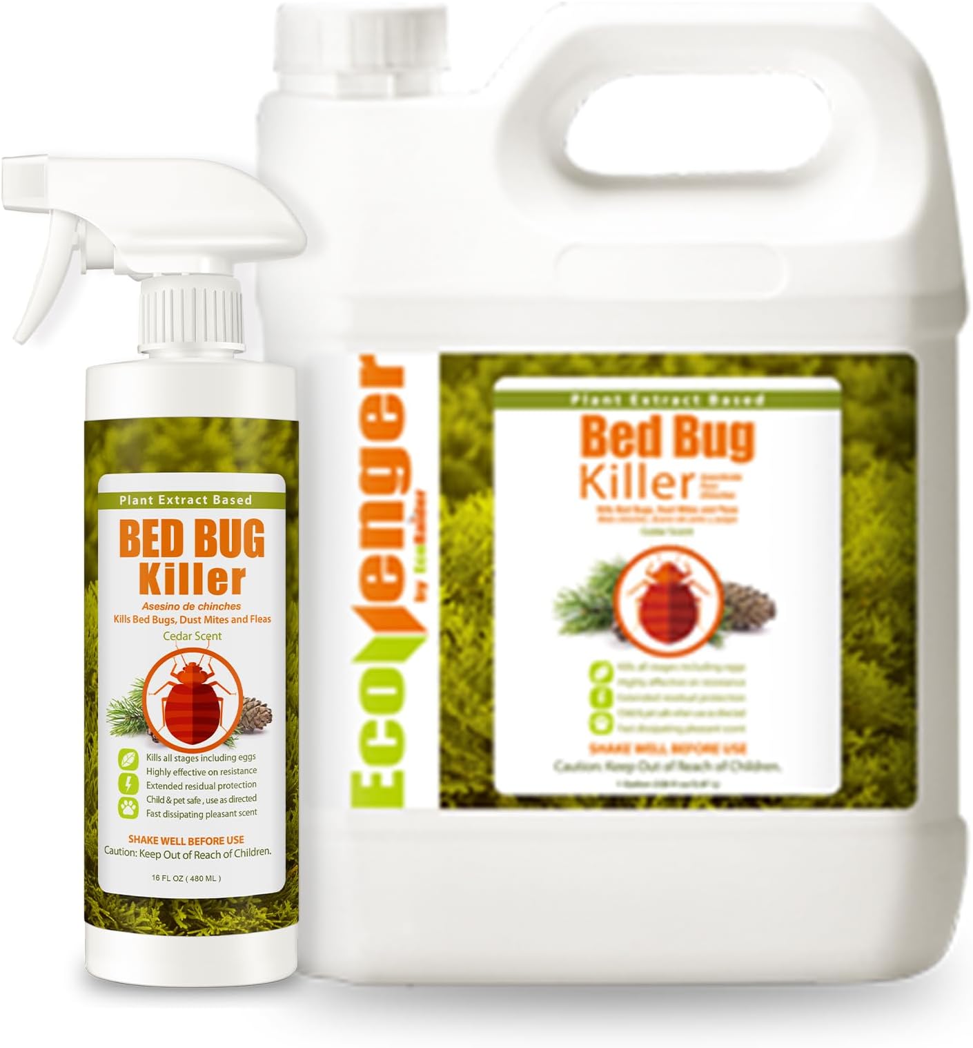 Amazon.com: Comprehensive Bed Bug Eradication Kit- Bed Bug Killer 16 OZ ...