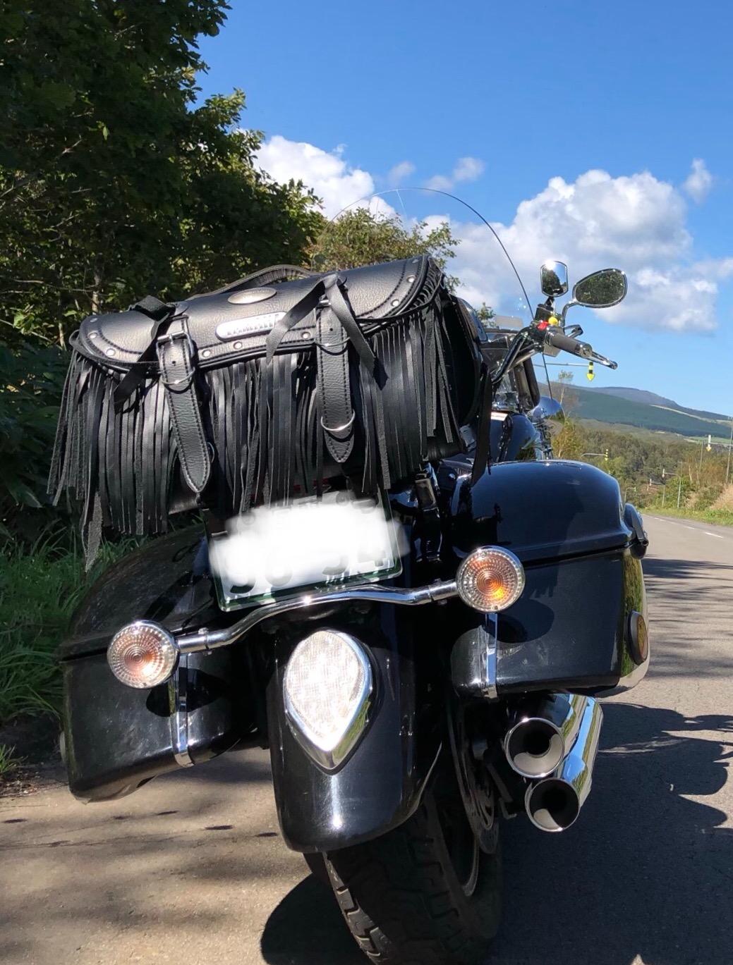 Amazon | All-American Rider(オールアメリカンライダー) LARGE TRAVELER BIKE RACK BAG ...