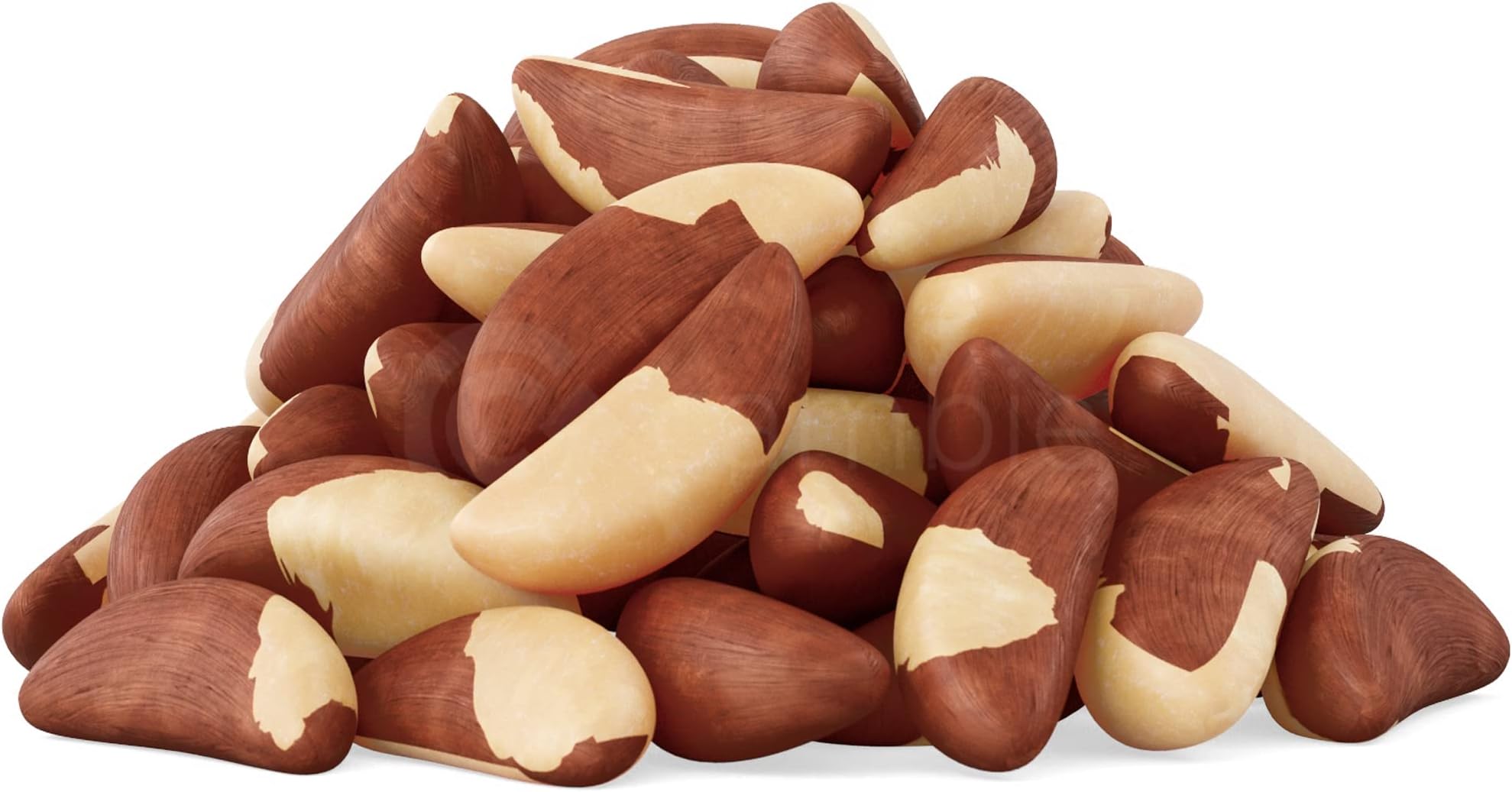 Amazon.com: Raw Brazil Nuts by Cambie | 2 lbs of Premium, Unsalted ...