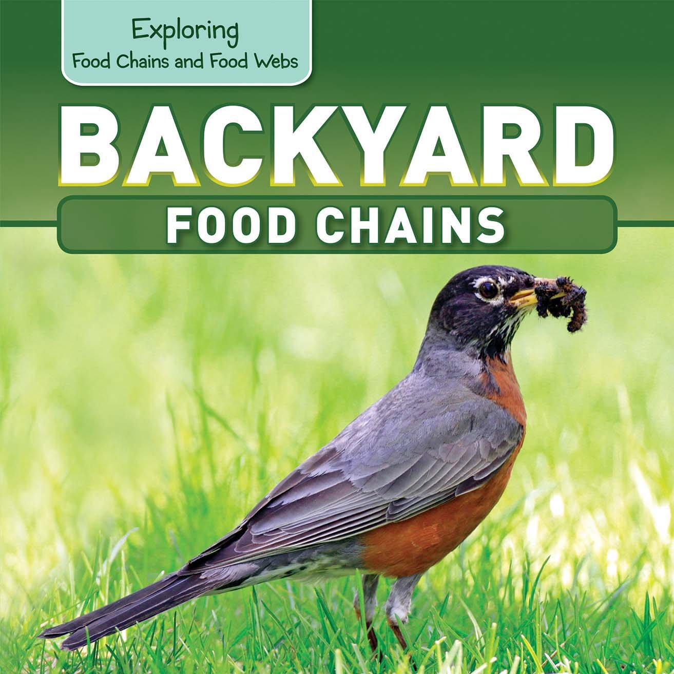 Buy Backyard Food Chains (Exploring Food Chains and Food Webs) Online ...