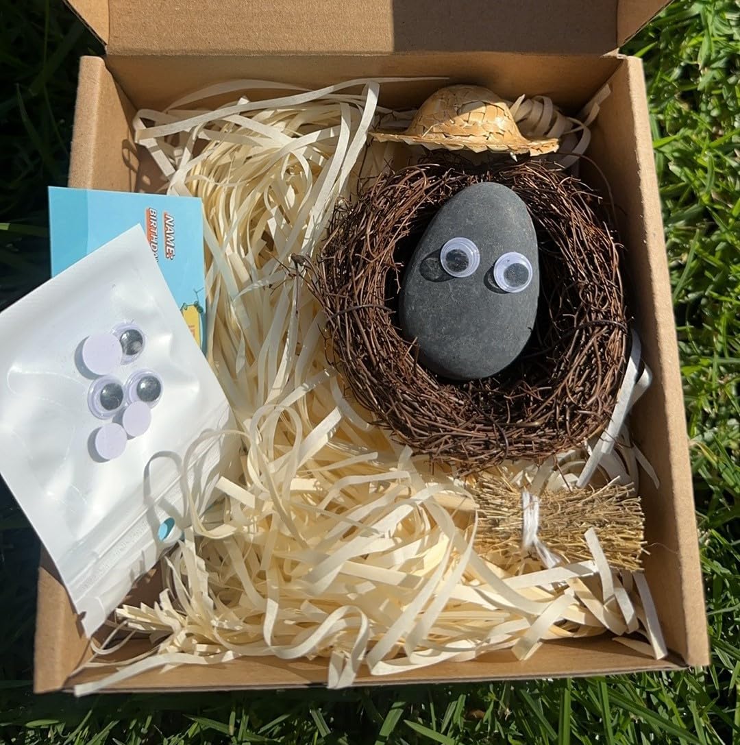 Amazon.com: FuStone Pebble Pet with Nest & Decorative Grass, Novelty ...