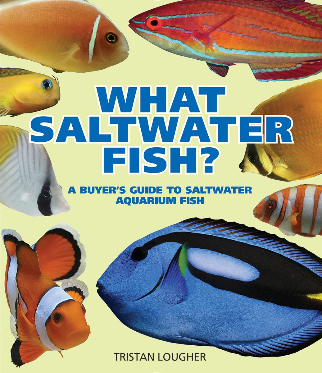 What Saltwater Fish?: A Buyer's Guide to Saltwater Aquarium Fish ...