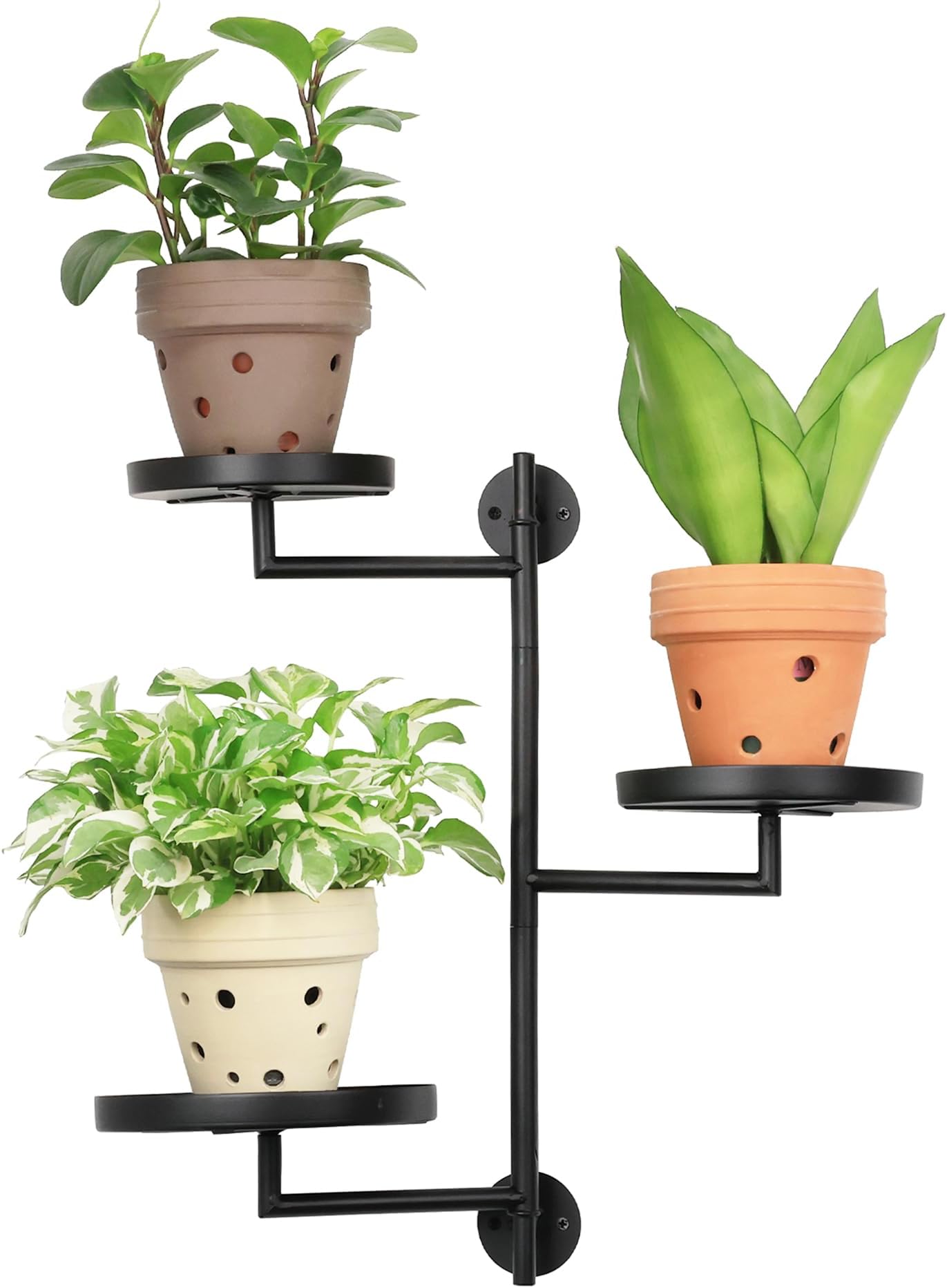 Amazon.com: Window Rotating Plant Shelf - 3-Tier Wooden Indoor Plant ...