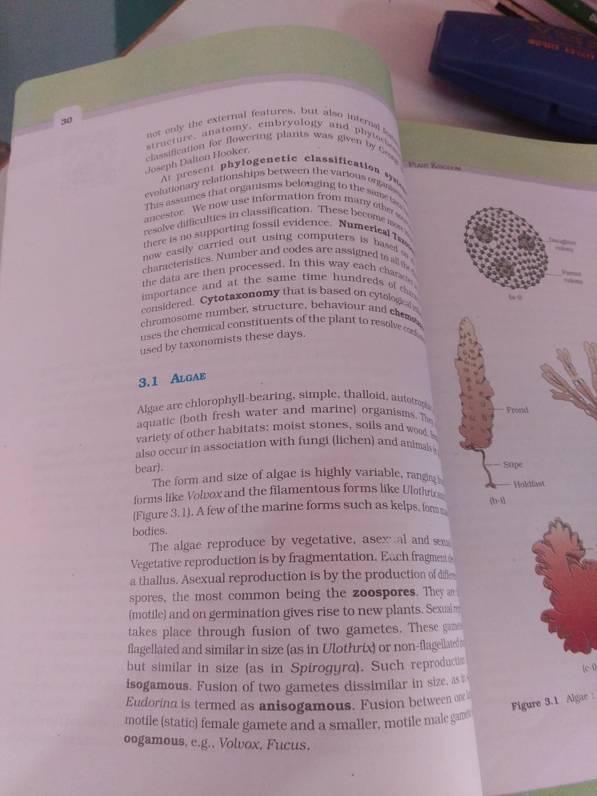NCERT Biology Textbook For Class - 11 - 2025-26 Edition : NCERT: Amazon ...