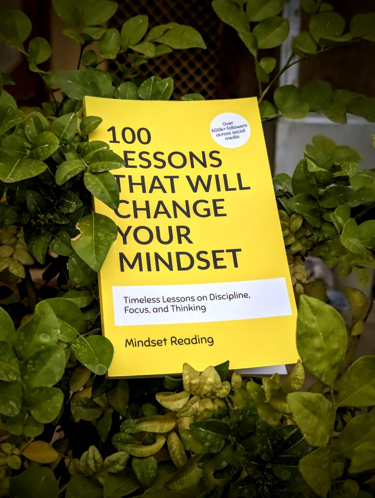 100 Lessons That Will Change Your Mindset : Timeless Lessons On ...